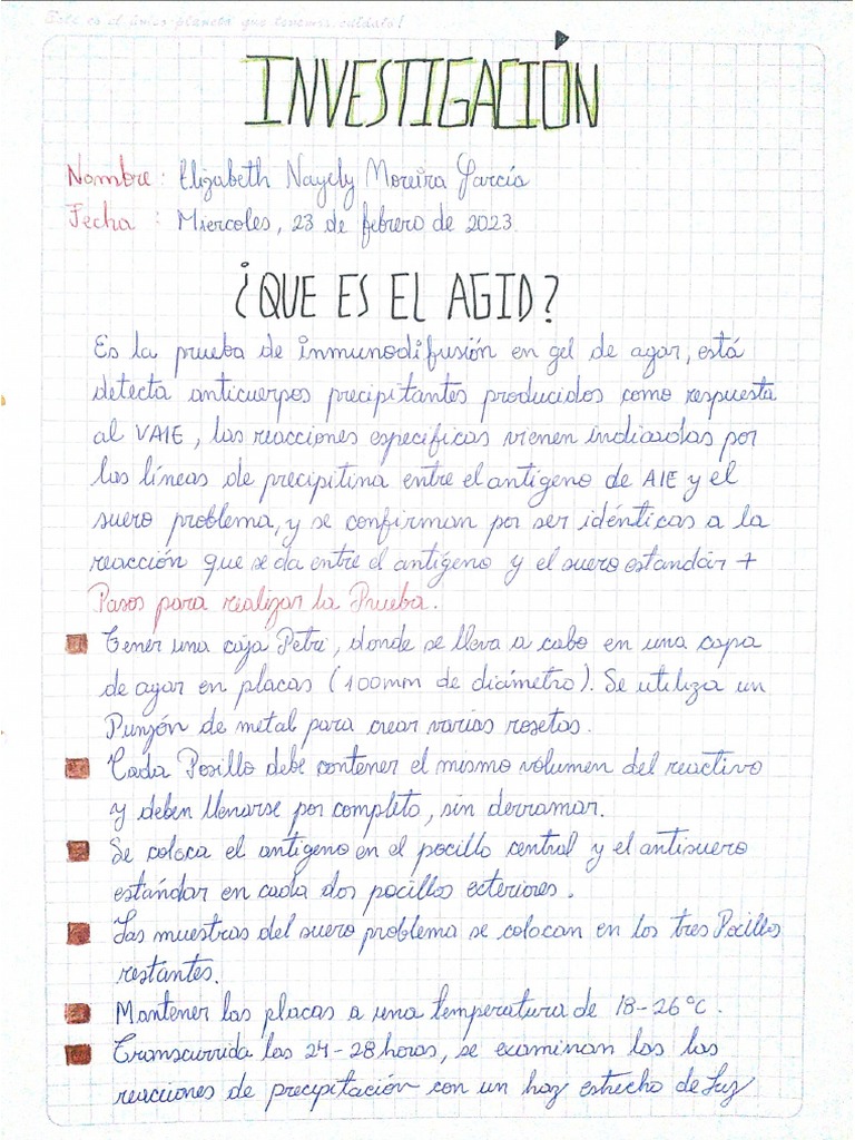 Ejercicios de IDGA | PDF