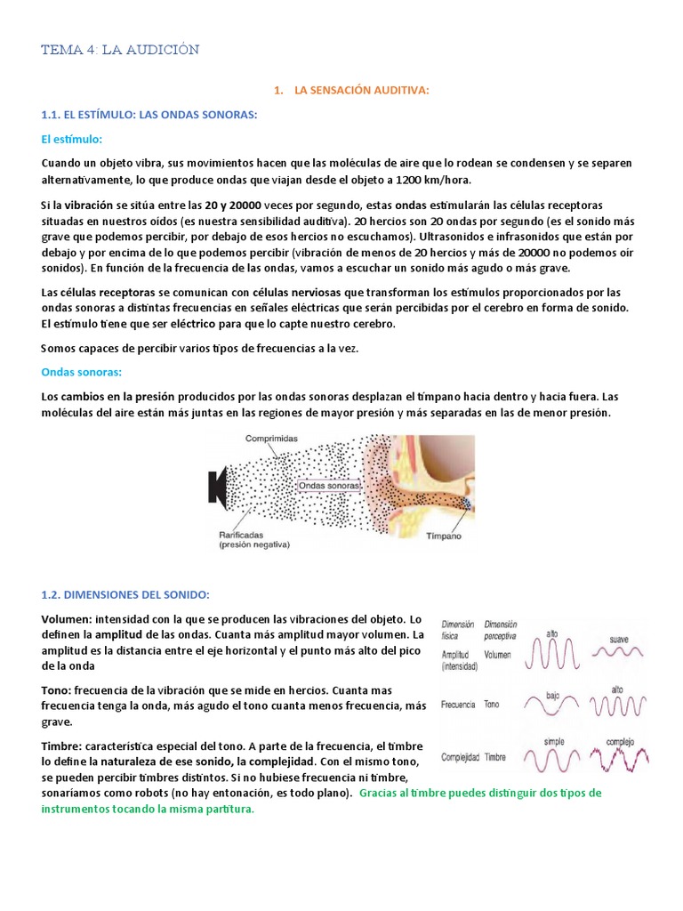 Anatomía y Función de la Audición | PDF | Oído | Sonido