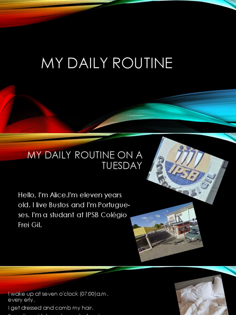 Apresentação My Daily Routine The True | PDF