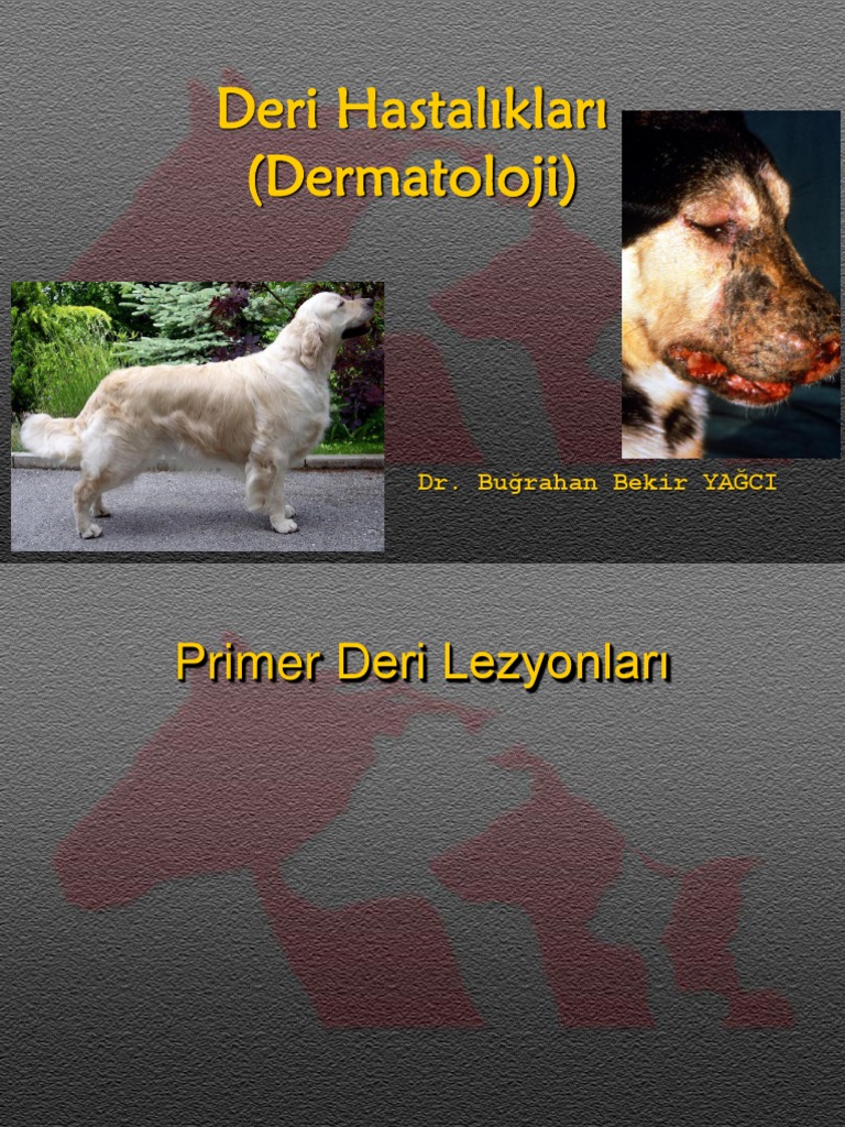 Deri Lezyonları | PDF