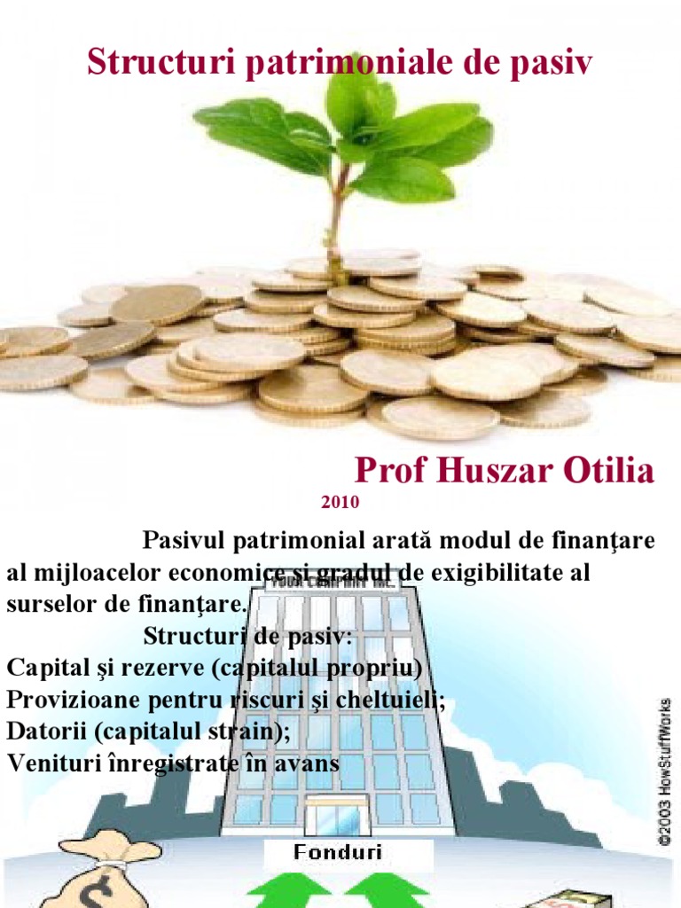 Pasiv | PDF