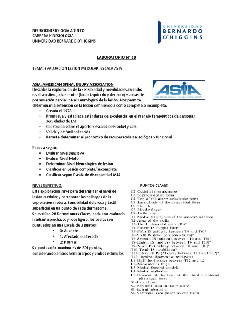 Lab 10 ESCALA ASIA | PDF | Neurología | Sistema musculoesquelético