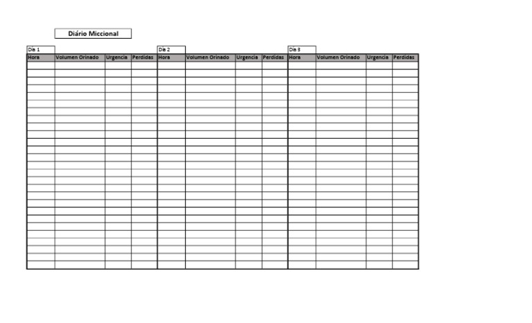 Diario Miccional | PDF