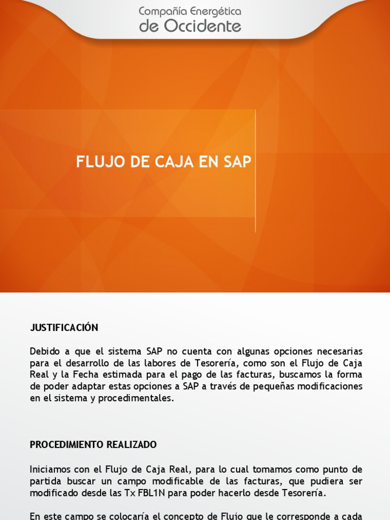 Presentacion Flujo de Caja SAP | PDF