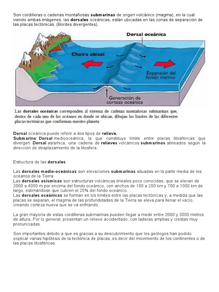 Dorsales Oceánicas: Relieves Volcánicos Submarinos | PDF