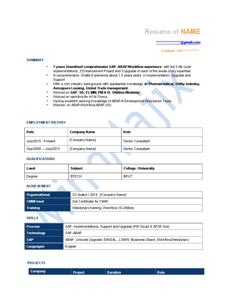 SAP Is Utilities Sample Resume 2 | PDF | Specification (Technical Standard) | Information ...