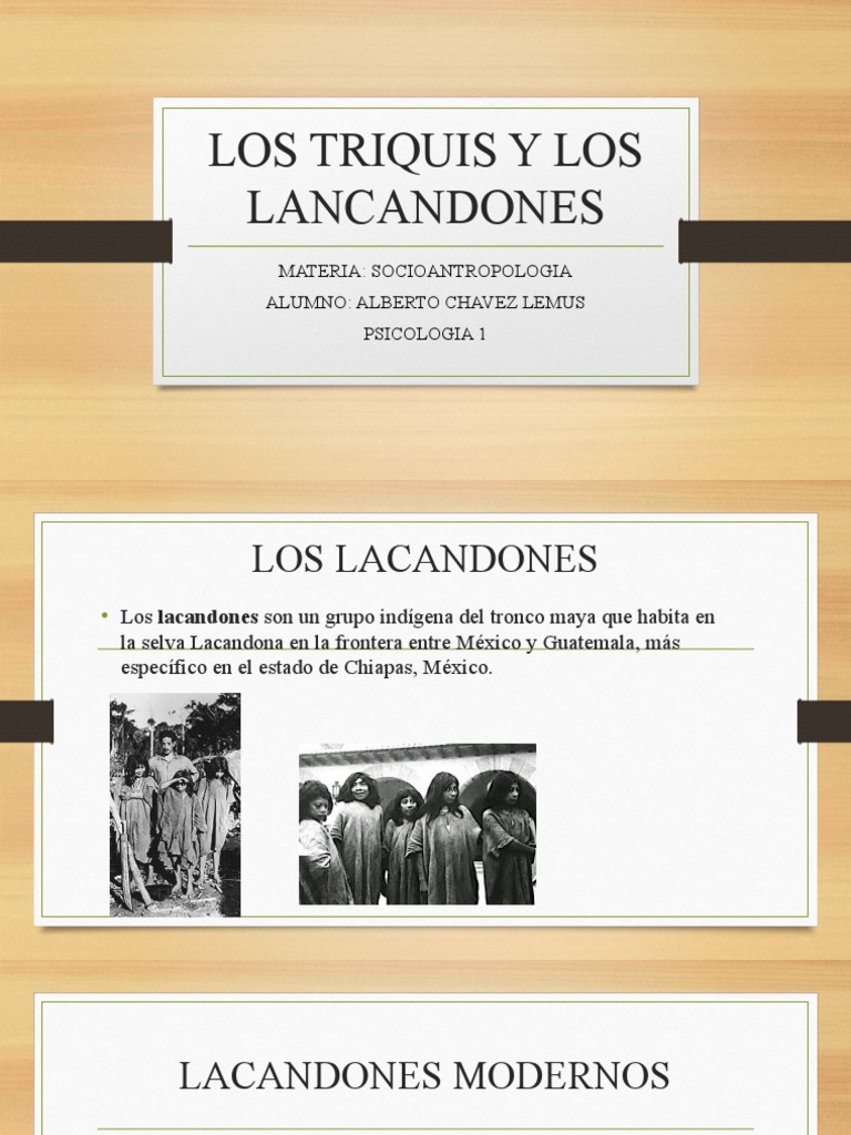 Los lacandones y triquis: grupos indígenas de Chiapas y Oaxaca | PDF ...