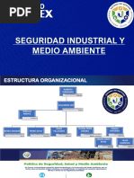 Pirámide de Kelsen, Seguridad e Higiene Industrial | PDF | México | Derecho laboral