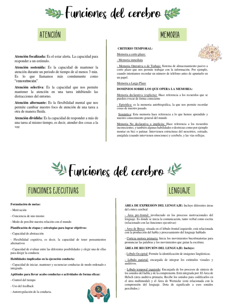 Atención, memoria, lenguaje y funciones ejecutivas | PDF | Memoria ...