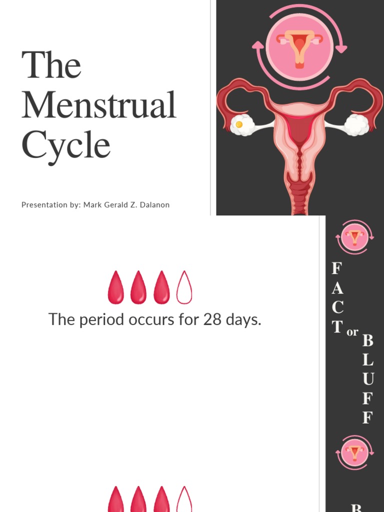 The Menstrual Cycle | PDF | Menstrual Cycle | Female Mammals