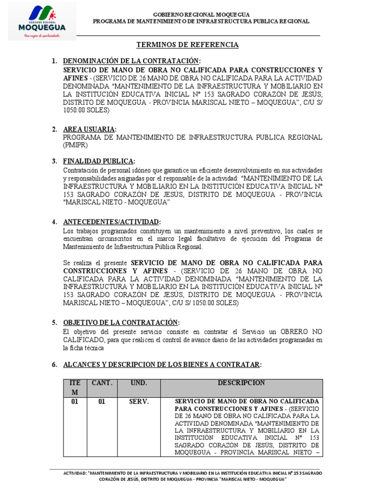 TDR de Mano de Obra No Calificado | PDF