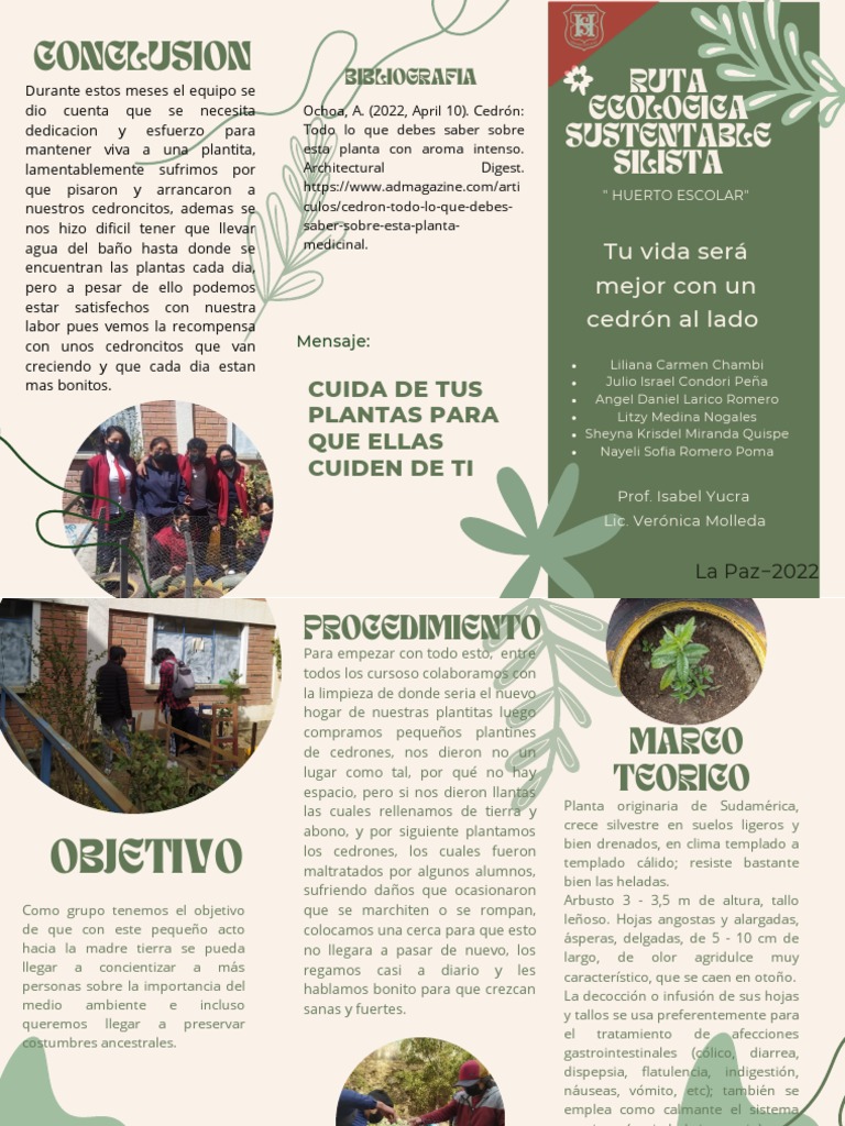 Flyer Folleto Triptico Plantas Vivero Divertido Moderno Orgánico Verde ...