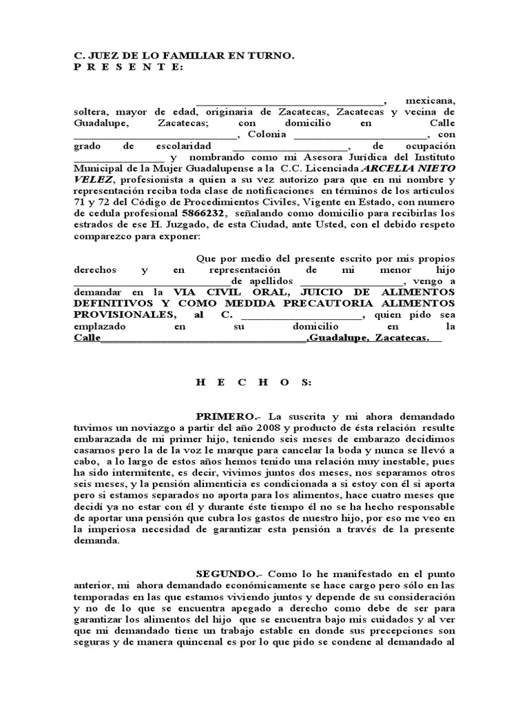 Formato Para Juicio De Alimentos Pdf Pensión Alimenticia Pensión