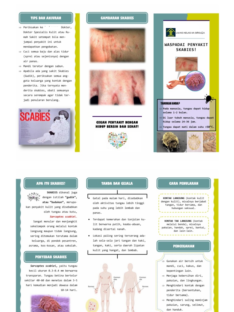 Leaflet Scabies | PDF