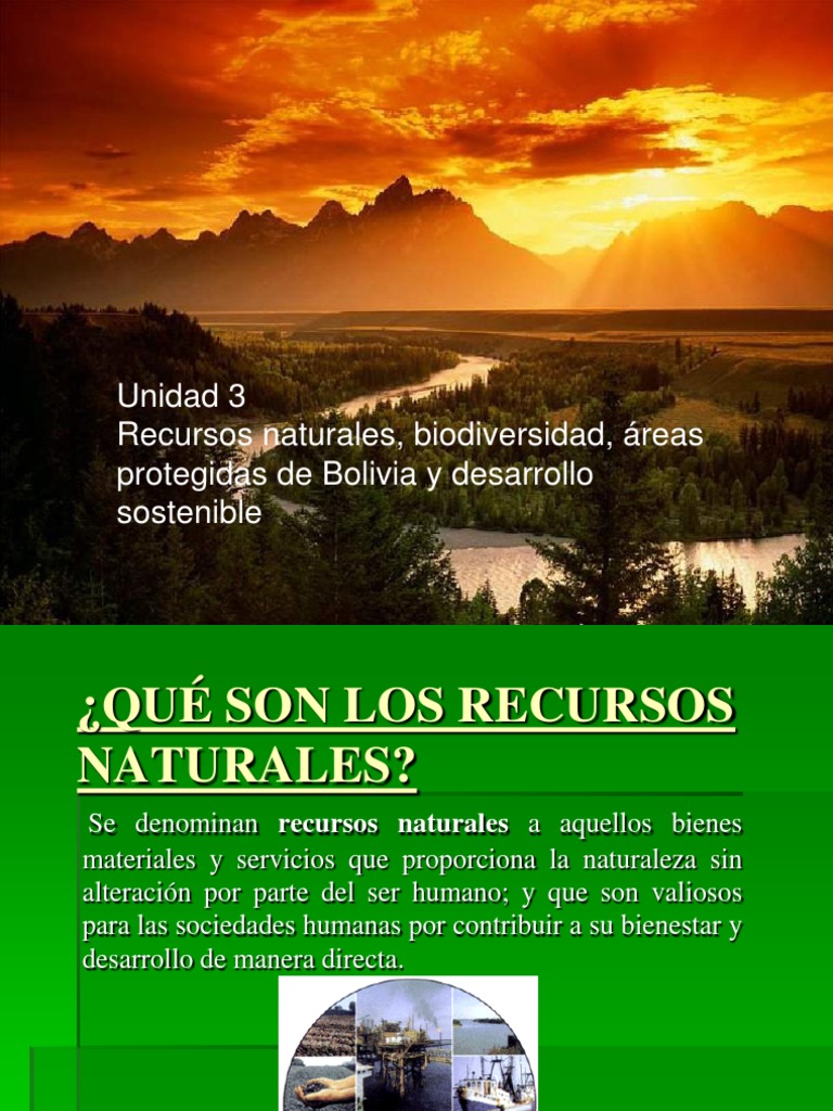 Tema 2 - Recursos Naturales - Desarrollo Sostenible | PDF | Desarrollo sostenible | Biodiversidad