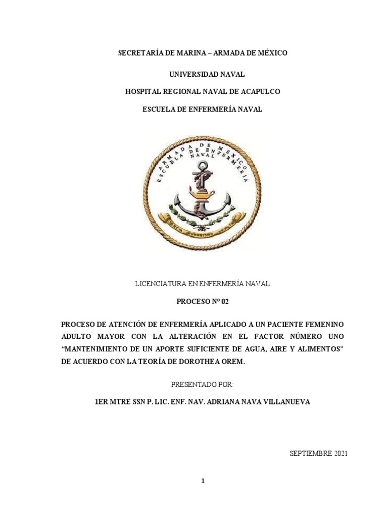 Pae 02 Anemia Dorothea Descargar Gratis Pdf Sangre Leucocito