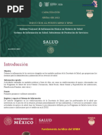 Hoja de RAIS | PDF | Salud pública | Reproducción humana