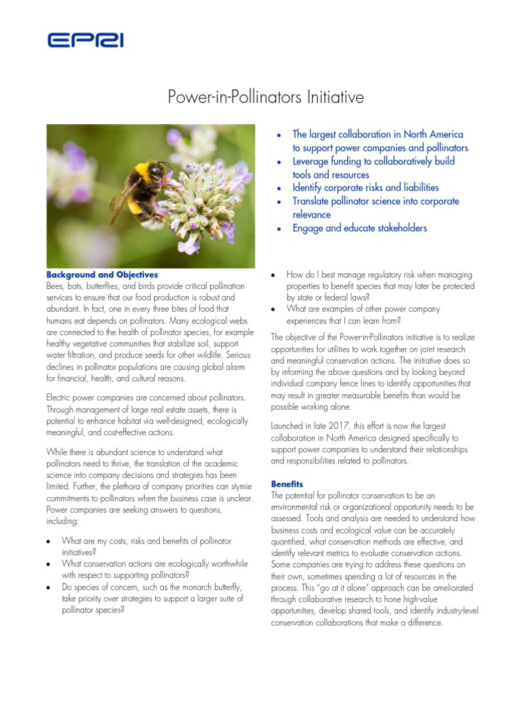 Power in Pollinators | PDF | Conservation Biology | Risk