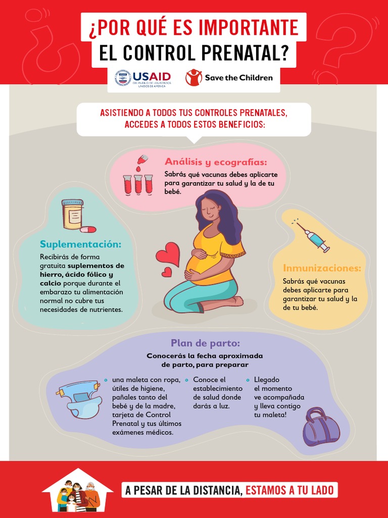 Nº3 Por Que Es Importante Control Prenatal | PDF
