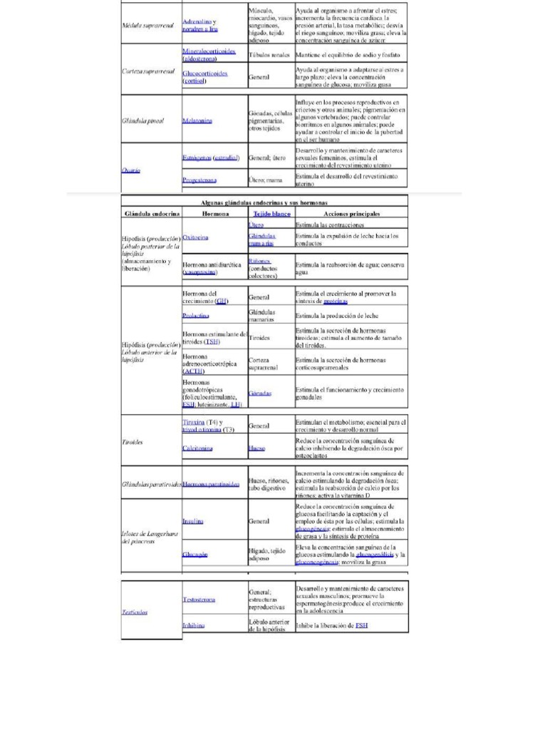 Cuadro Comparativo Sistema Endocrino | PDF Cuadro Comparativo Sistema Endocrino | PDF