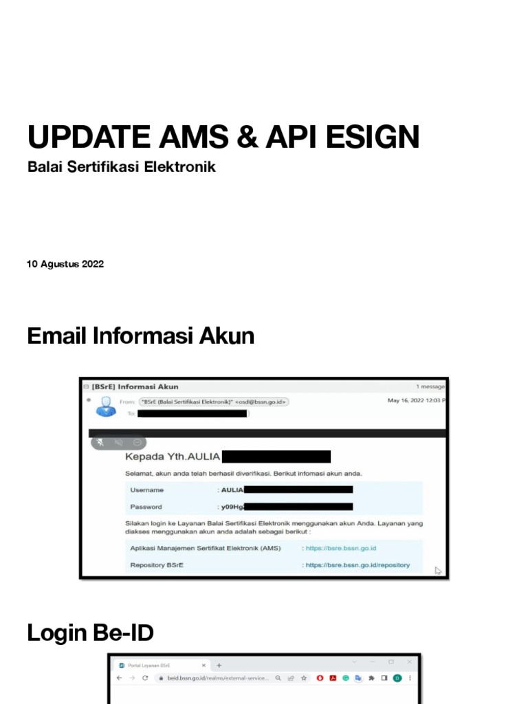 Segel Elektronik BSrE 10082022 | PDF