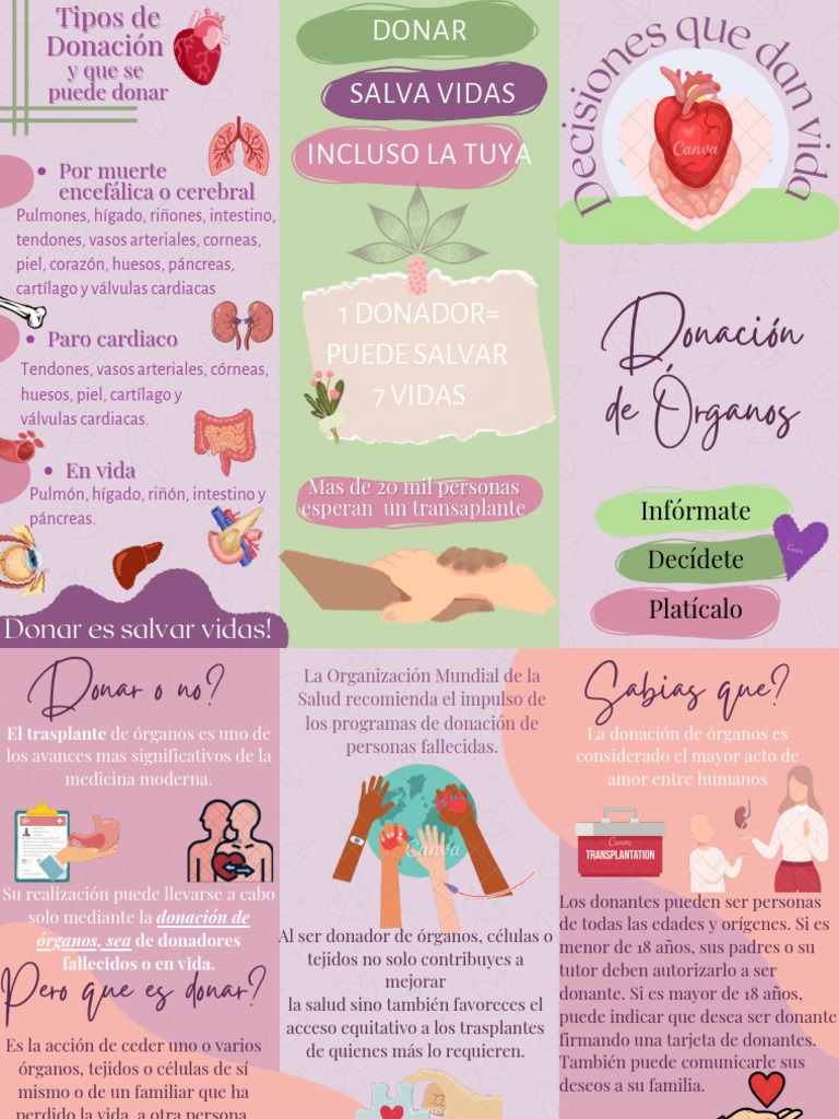 Donar Órganos: Salva Vidas y Trasciende | PDF | Transplante de organo ...