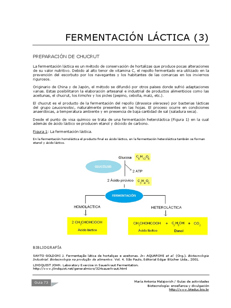 Proceso de Fermentación Láctica del Chucrut | PDF | Fermentación | Química