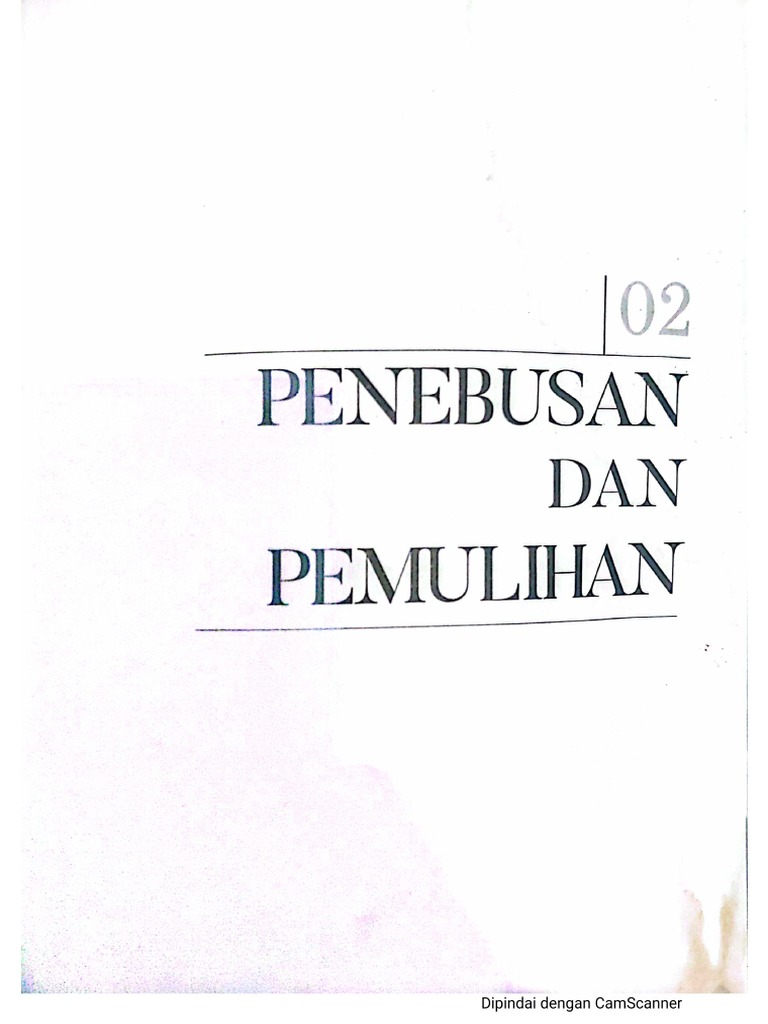 PHB 2 | PDF