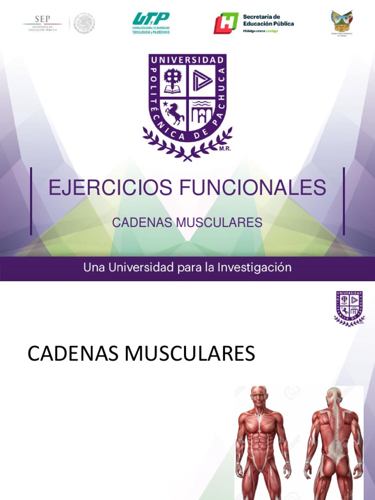 Cadenas Musculares - Sep Dic 19 | PDF | La columna vertebral | Anatomía ...