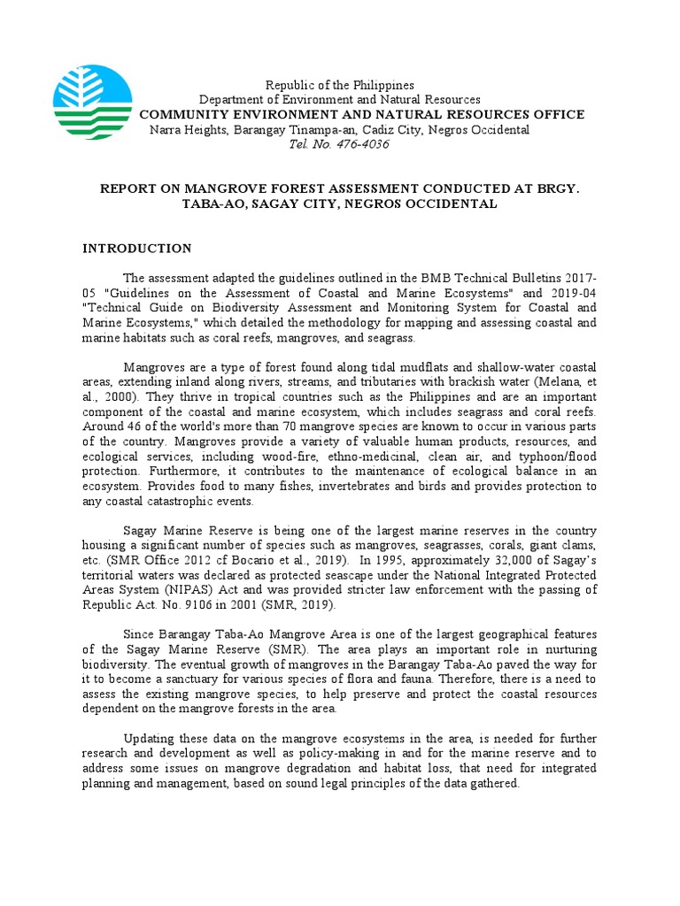 Brgy. Taba Ao Mangrove Assessment Report Draft | PDF | Mangrove | Coast