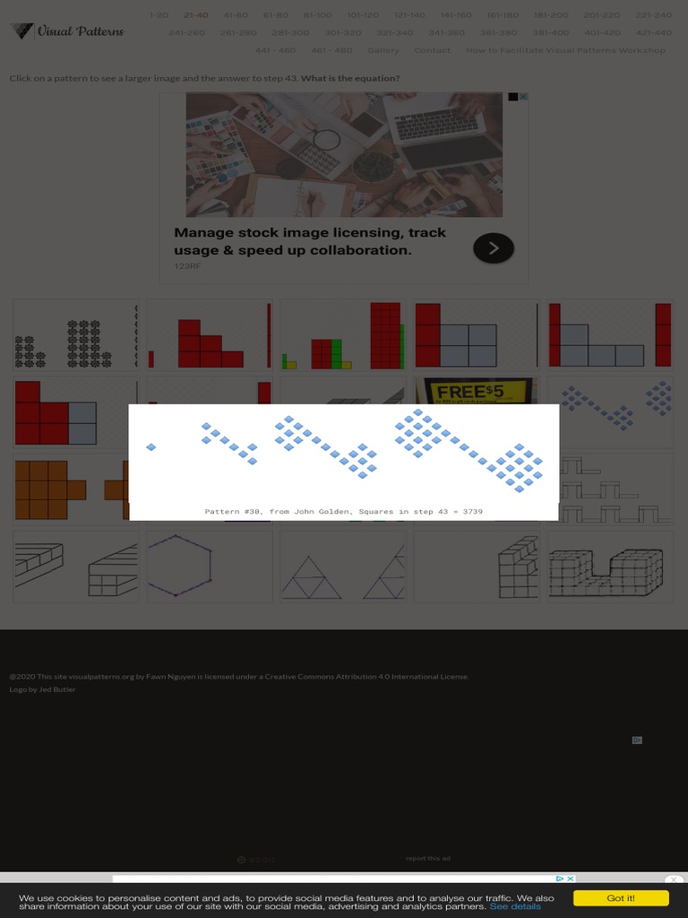 21-40 - Visual Patterns | PDF