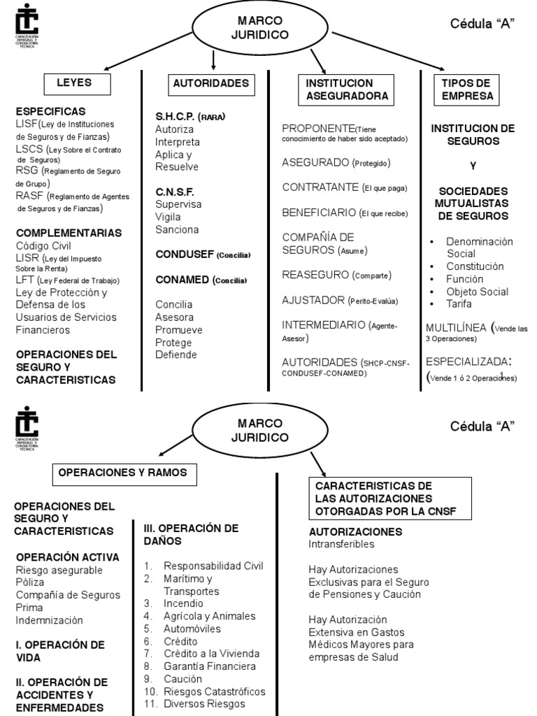 3 Mapas Conceptuales Cedula a v1 2017 (1) | PDF | Seguro | Reaseguro