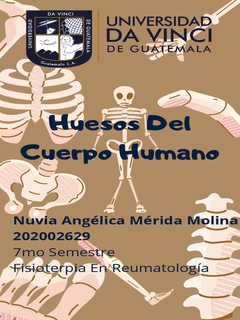 álbum De Los Huesos Del Cuerpo Humano Pdf