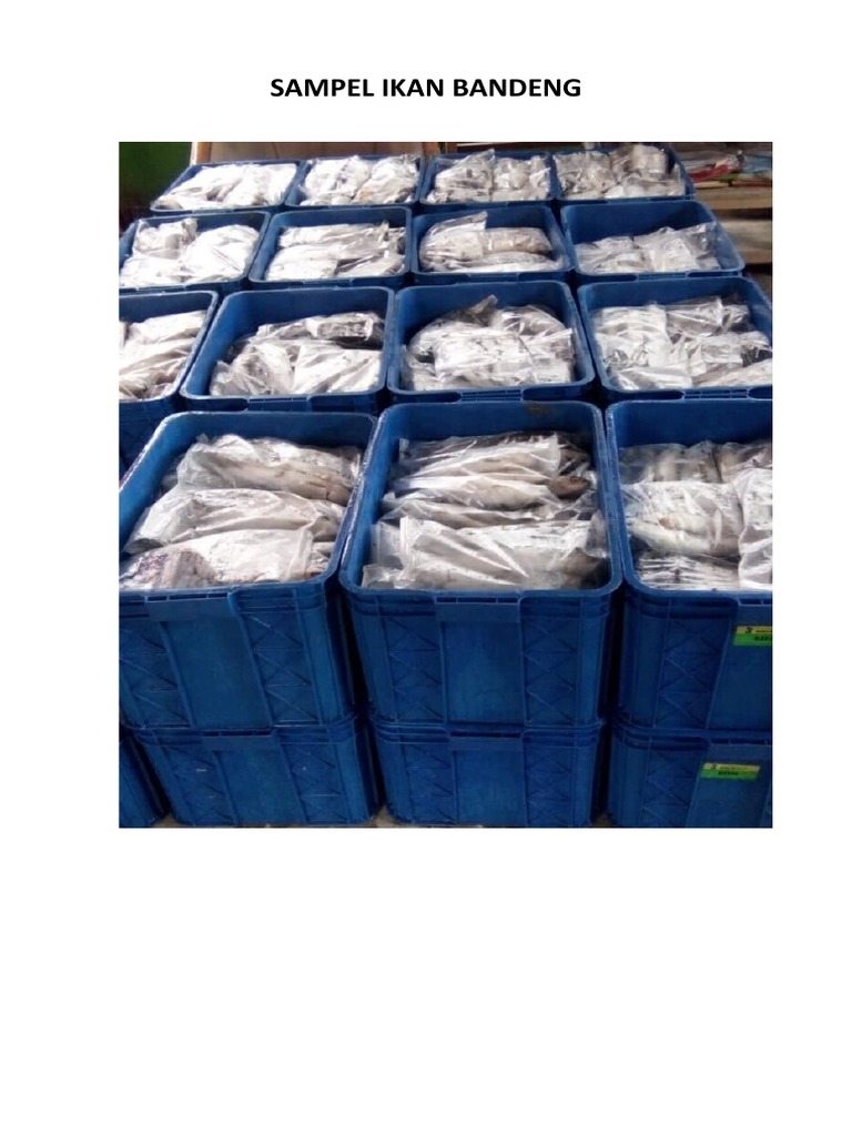 Sampel Ikan Bandeng | PDF Sampel Ikan Bandeng | PDF