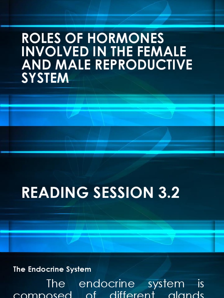 Roles of Hormones Involved in The Female Rroductive | PDF | Endocrine System | Hormone