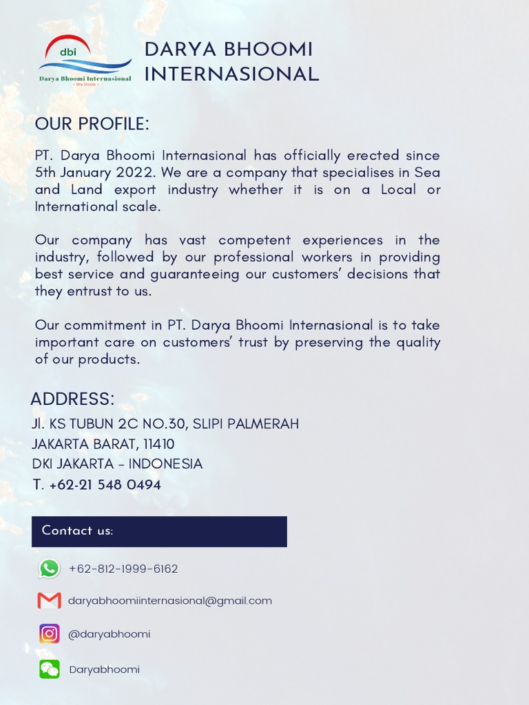 Dbi Company Profile | PDF