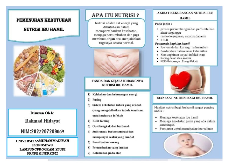 Leaflet Nutrisi Rahmad | PDF
