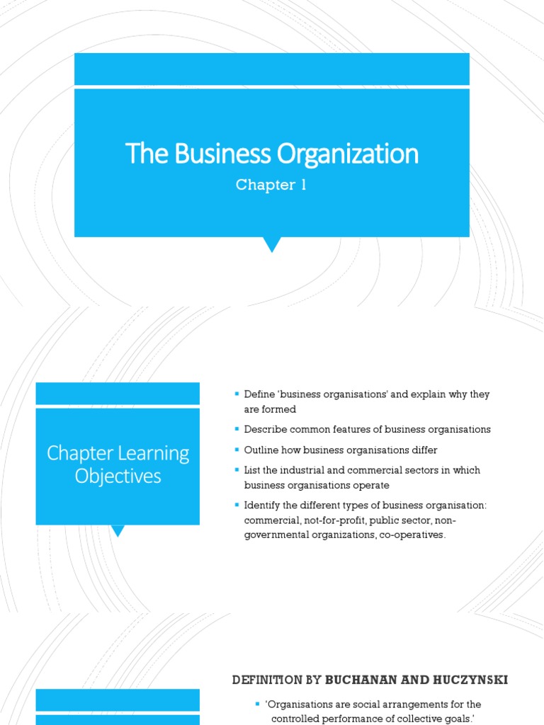 Understanding Business Organizations | PDF | Cooperative | Nonprofit ...