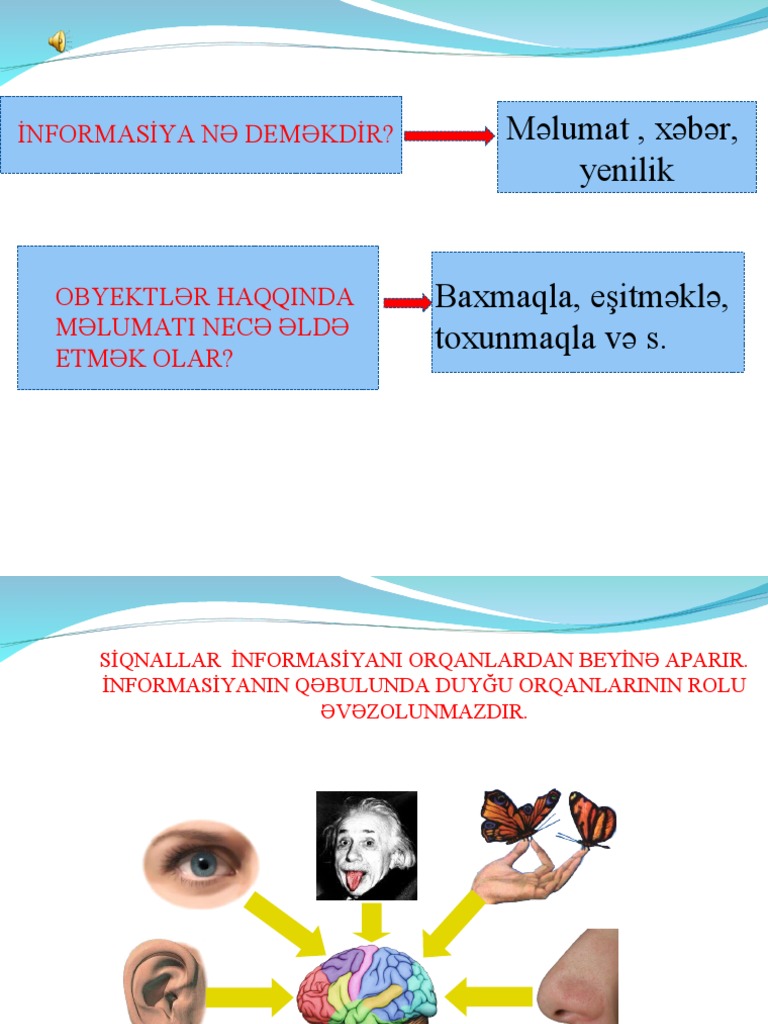 Inform Novleri | PDF