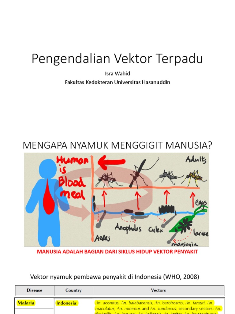 Integrated Vector Management | PDF
