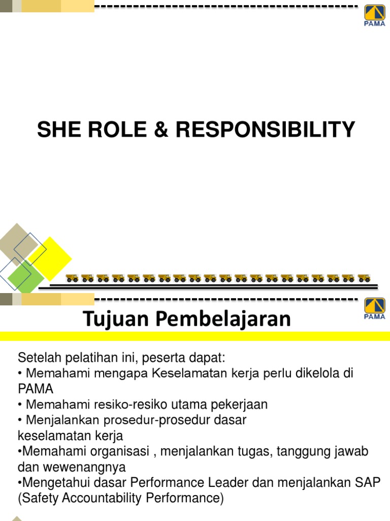 She Role and Responsibility - Rev2 | PDF