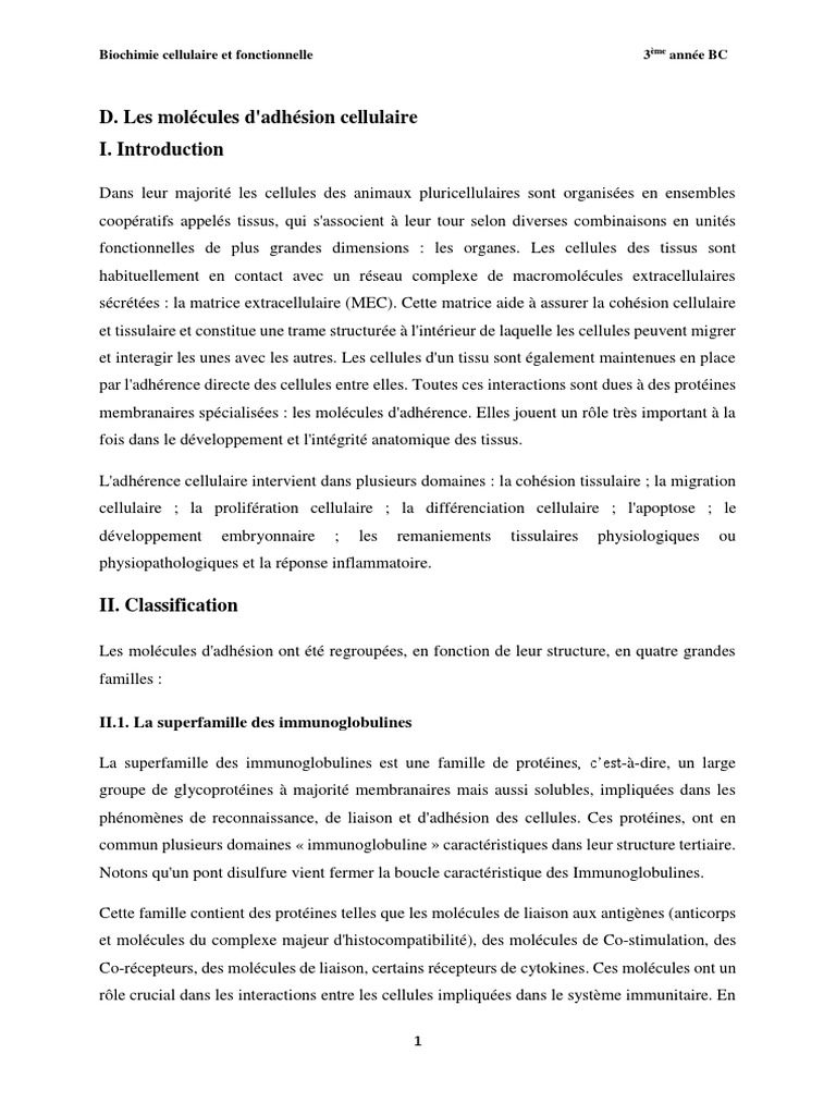 Molécules d'adhésion cellulaire expliquées | PDF | Intégrine | Anticorps