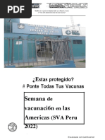 Lineamientos Generales PVU 2024 Alta | PDF