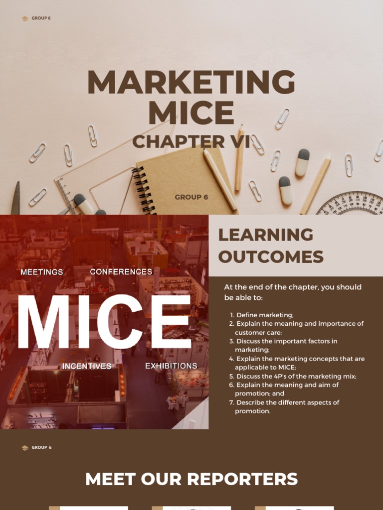Group 6 - Chapter 6 Marketing Mice | PDF | Marketing | Target Audience