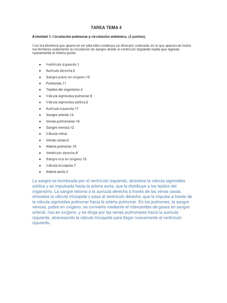 Circuito Sanguíneo y Válvula Sigmoidea | PDF | Ventrículo (corazón) | Vena