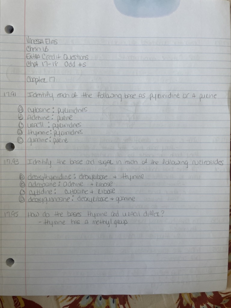 Extra Credit HW Chapter 17-18 | PDF