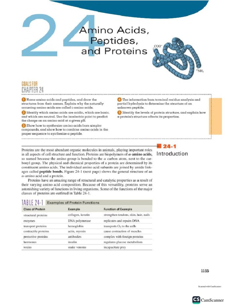 Wade Organic Chemistry 8ed | PDF