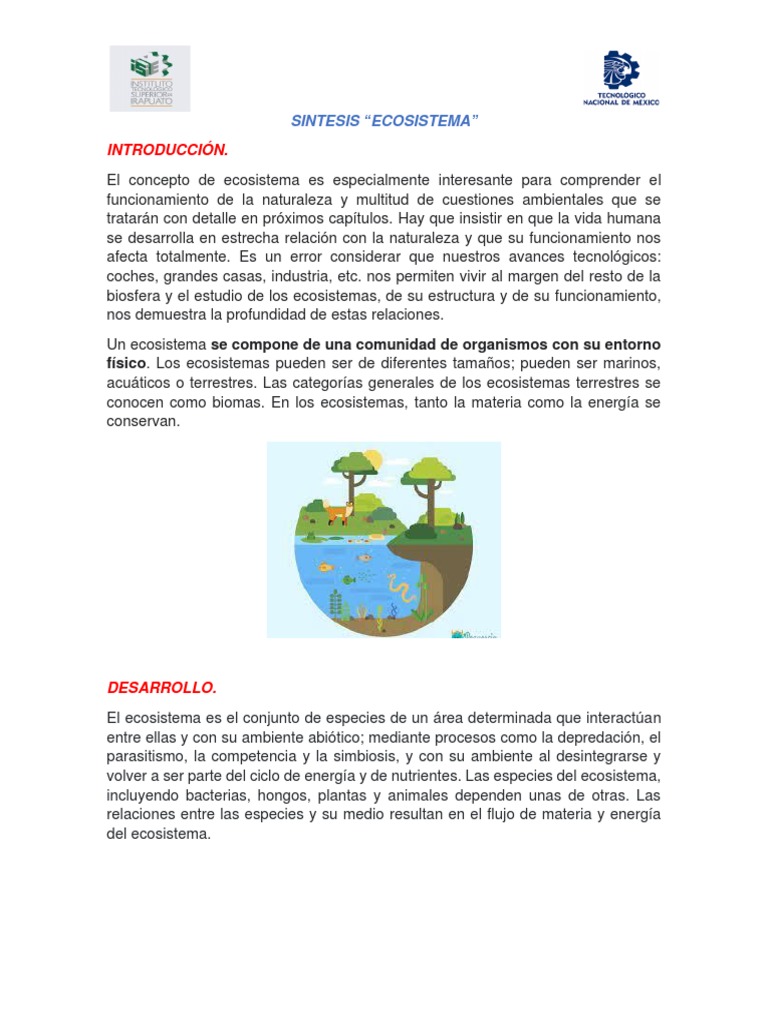 La estructura y tipos de ecosistemas: marinos, terrestres, mixtos y microbianos | PDF ...