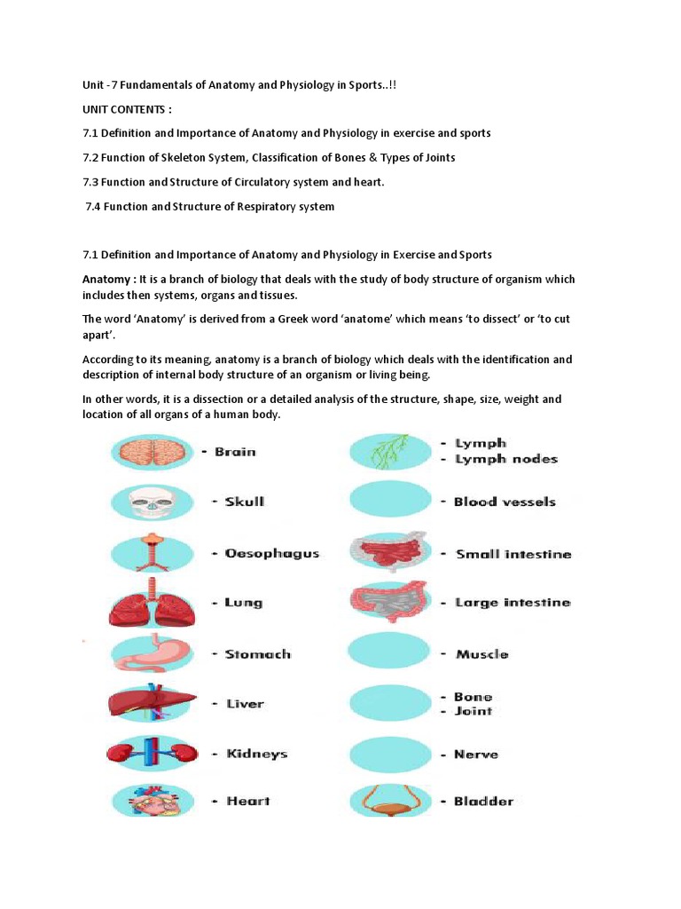 Grade 11 Chapter 7 Physical Education | PDF | Skeleton | Bone Grade 11 Chapter 7 Physical Education | PDF | Skeleton | Bone