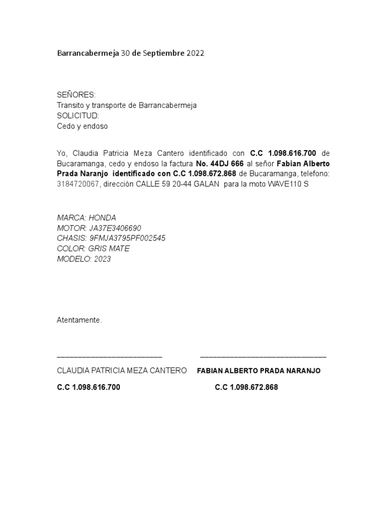 Endoso y Endoso | PDF